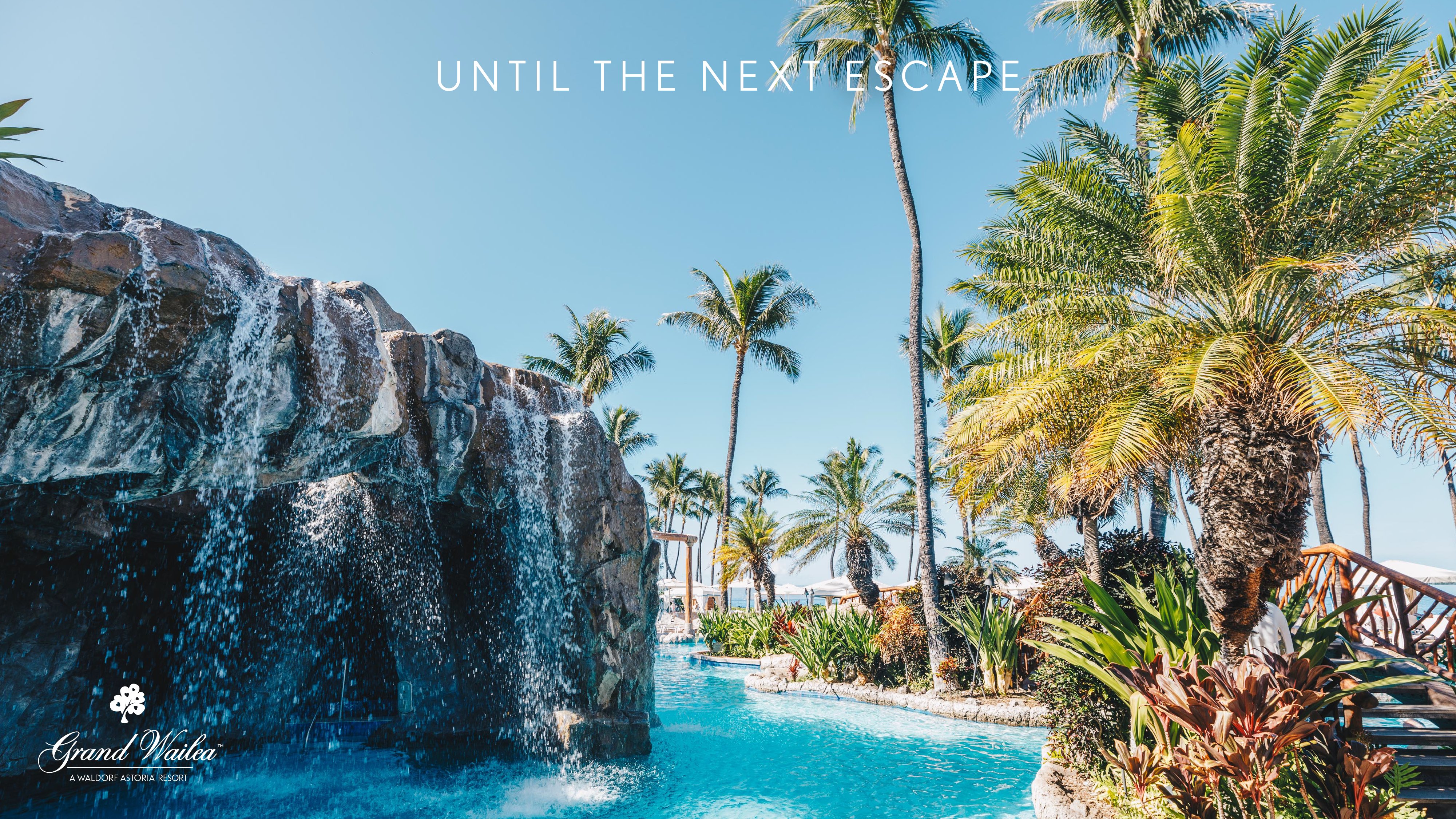 Tropical Infinity Horizon | Zoom Gallery